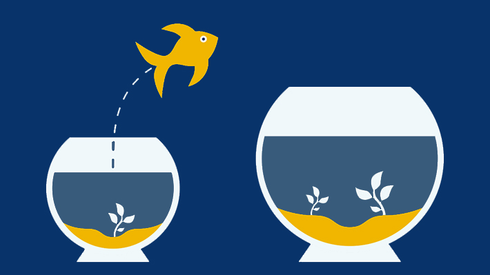 Five Steps To Effective Career Transition | Drexel LeBow Five Steps To Effective Career Transition | Drexel LeBow